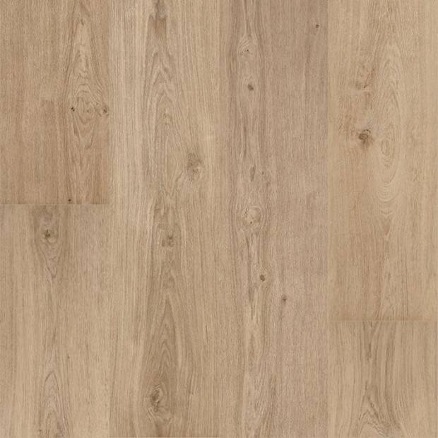 Sol Pvc Grand Format Champagne - La Maison Bineau